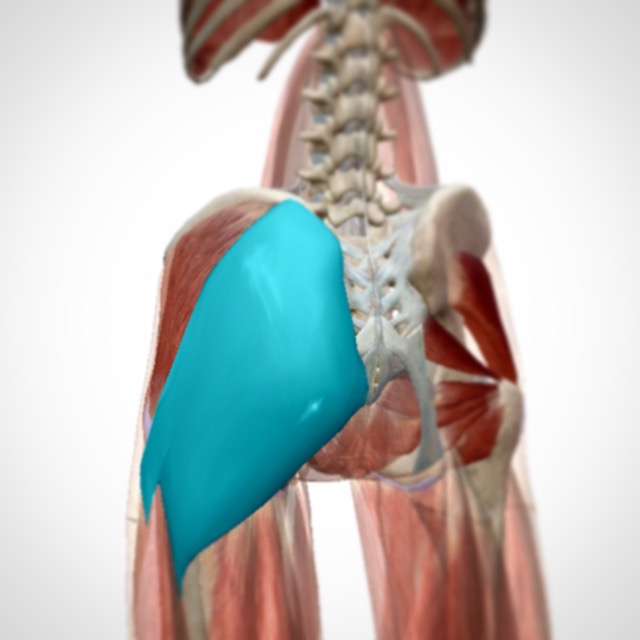 Duck Feet Posture - Feet Point Outward | The Functional Movement Club